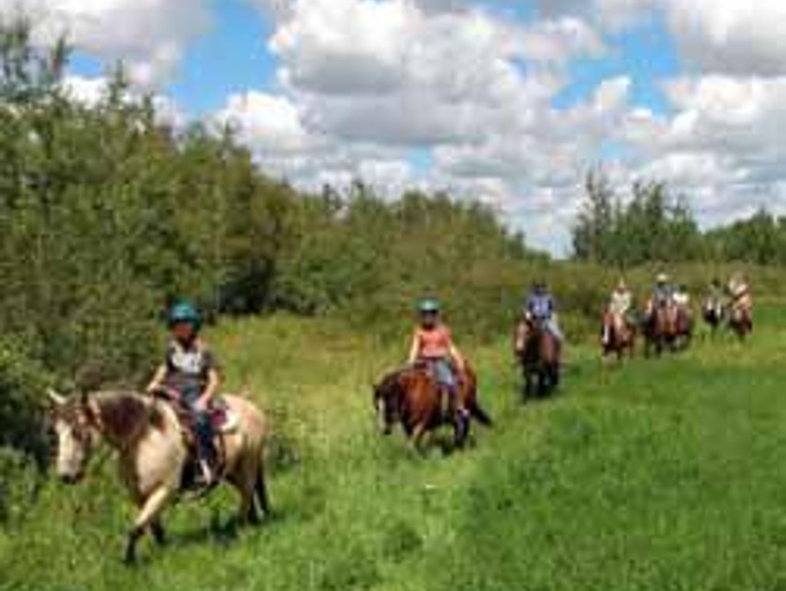 Spring can’t come soon enough at Blazin’ Saddles Ranch!